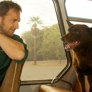Crítica película: Red Dog (2011) | Colisito