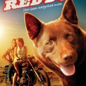 Crítica película: Red Dog (2011) | Colisito